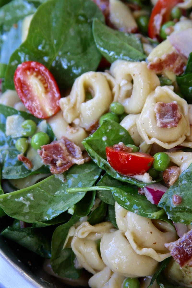 Bacon Belly Button Pasta Salad - The Fed Up Foodie