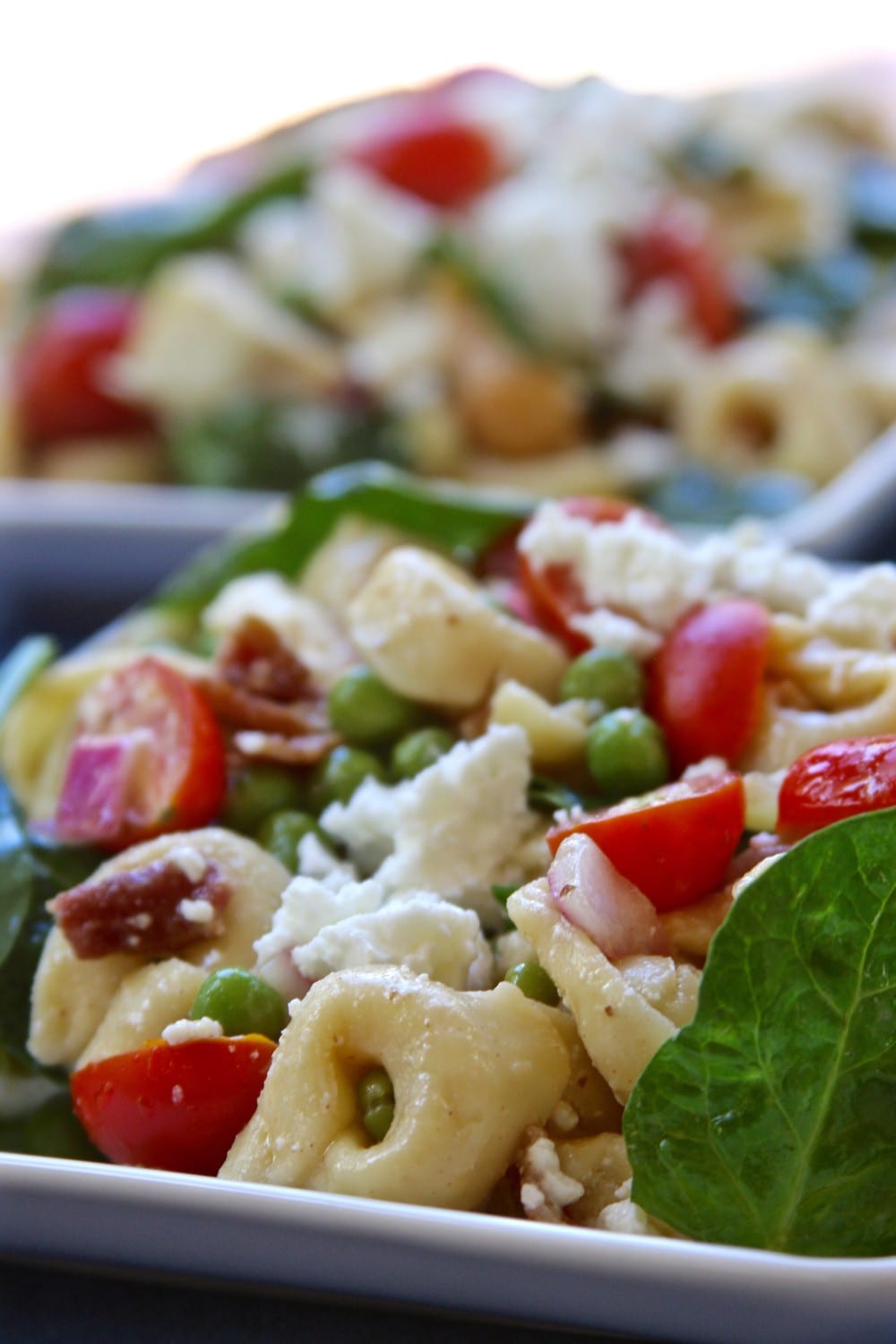 Bacon Belly Button Pasta Salad - The Fed Up Foodie
